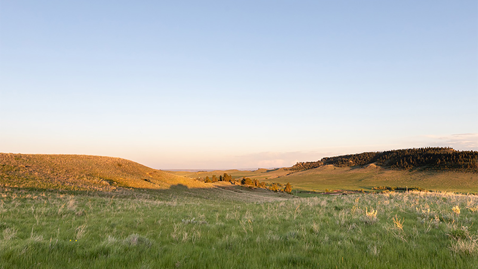 Wyoming History: Battle Of The Rosebud Started Great Sioux Wars Of 1876 ...