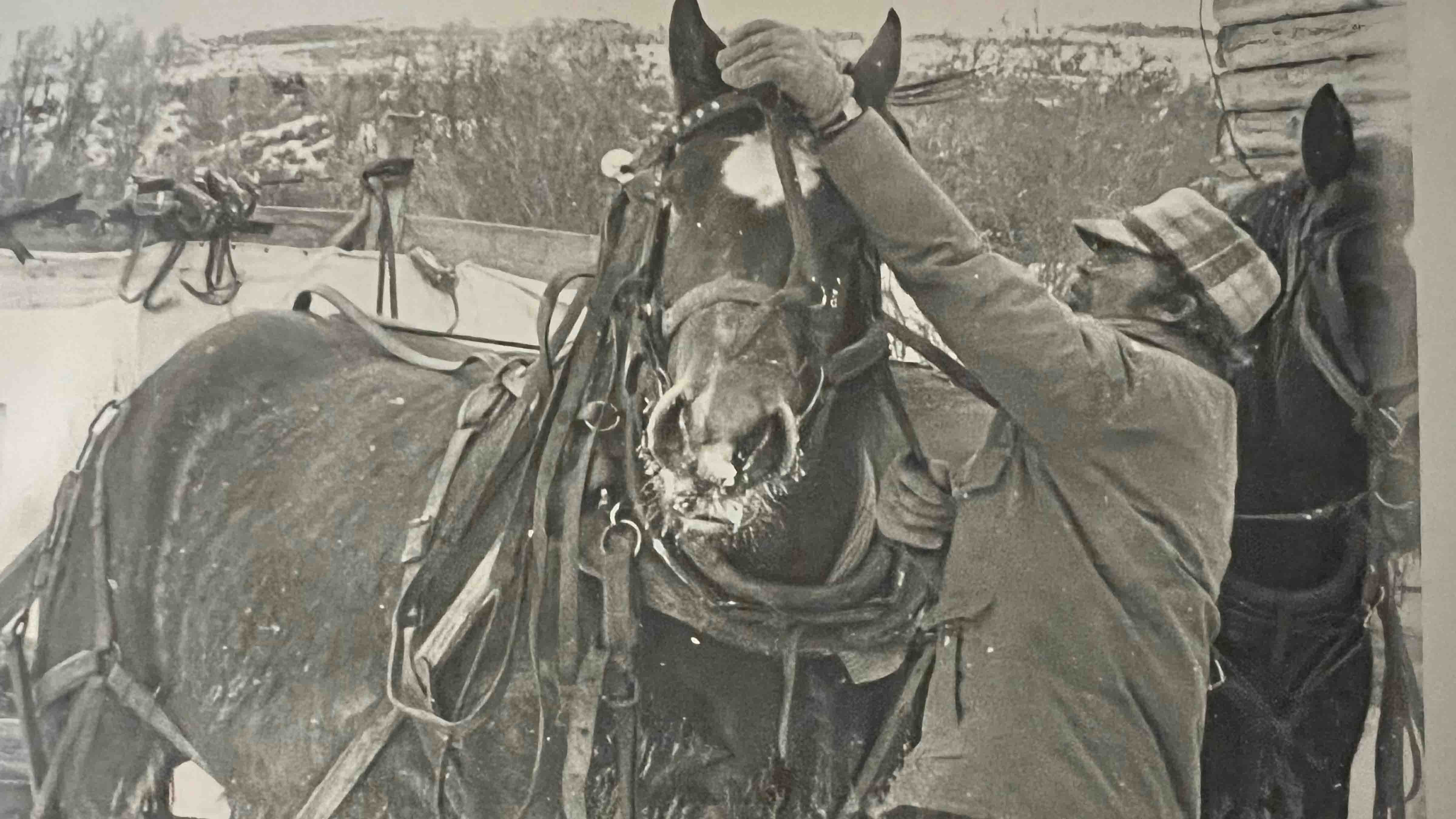 Wyoming Cowboy Hall of Fame – Steven C. James: Chasing Cattle for over ...