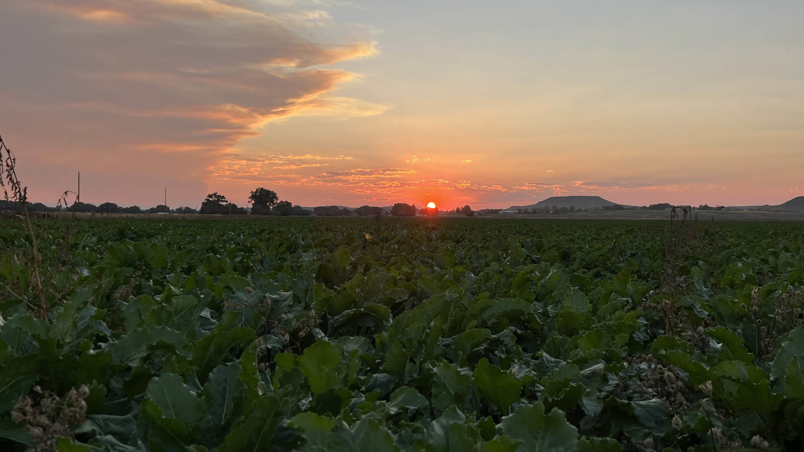 Wyoming Sunrise: Friday, September 9, 2022 | Your Wyoming News Source