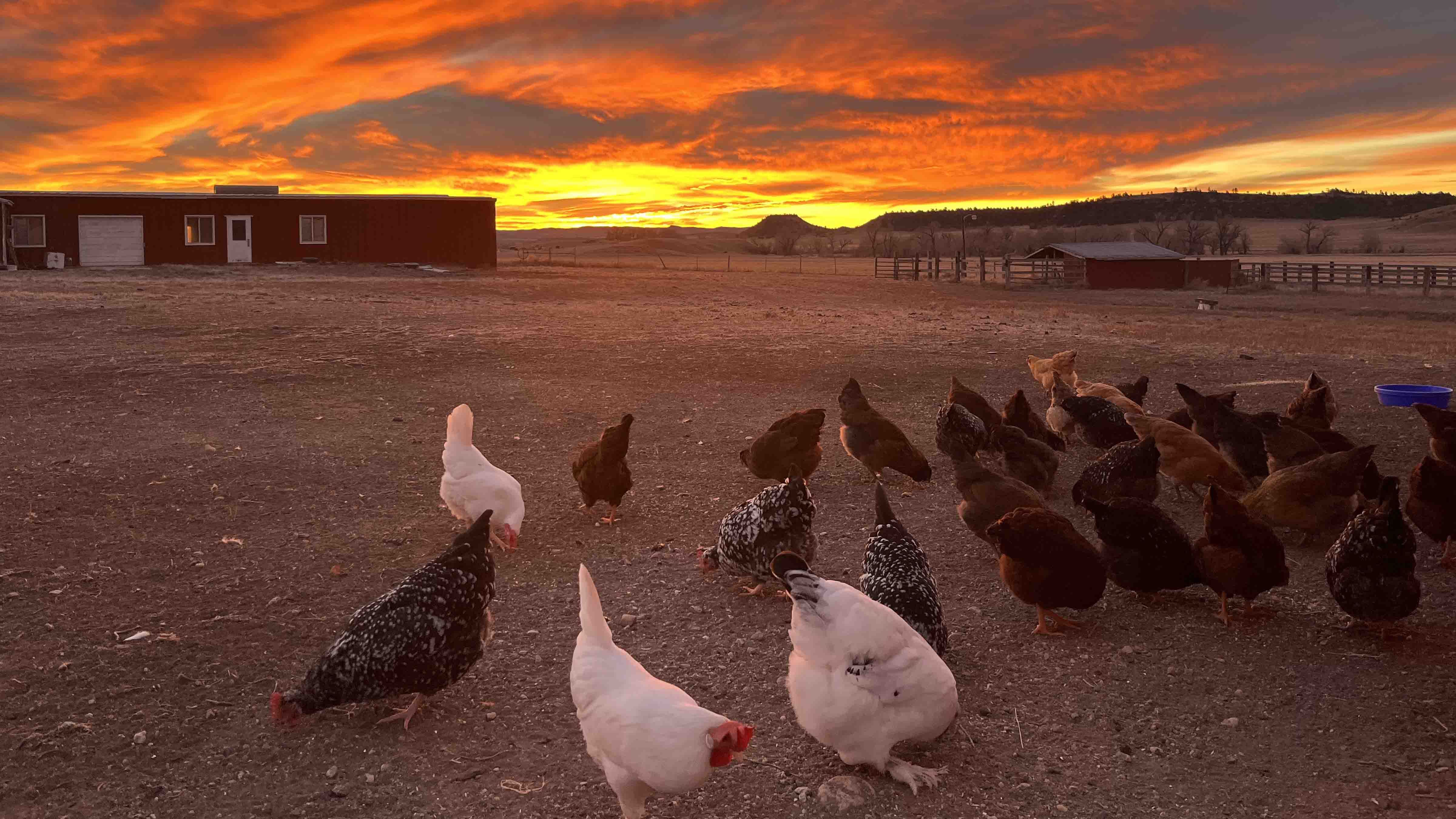 Your Wyoming Sunrise: Monday, November 25, 2025 | Cowboy State Daily