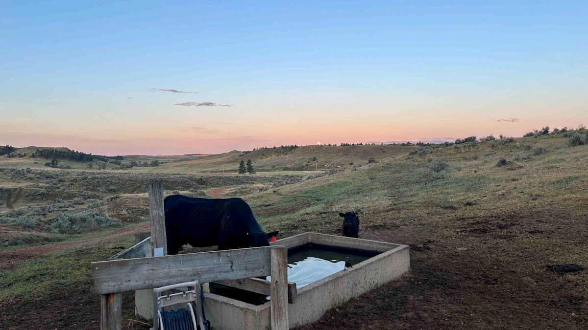 Your Wyoming Sunrise: Wednesday, June 3, 2026 | Cowboy State Daily